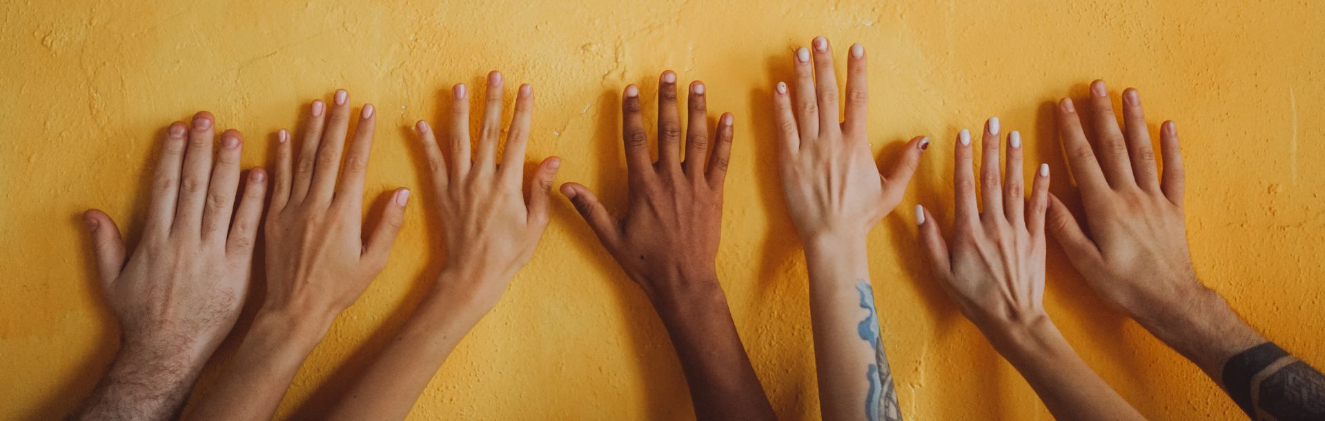 Community Health Programs & Services - LAMP Community Health Centre