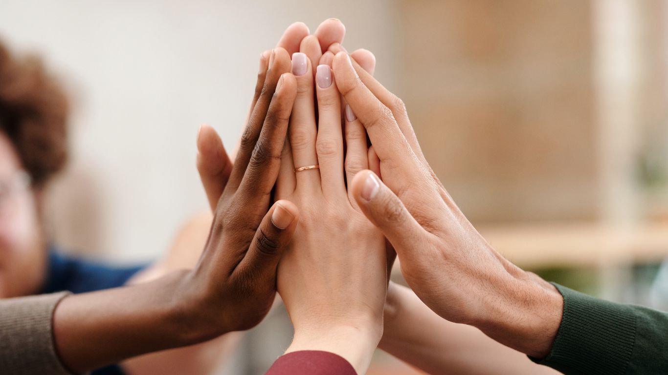 Programs Services - Service - LAMP Community Health Centre